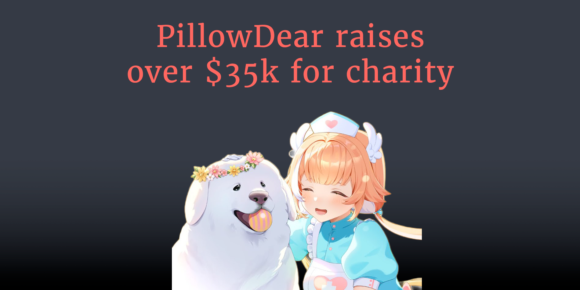 PillowDear raises over $35k for charity - A Week in VT
